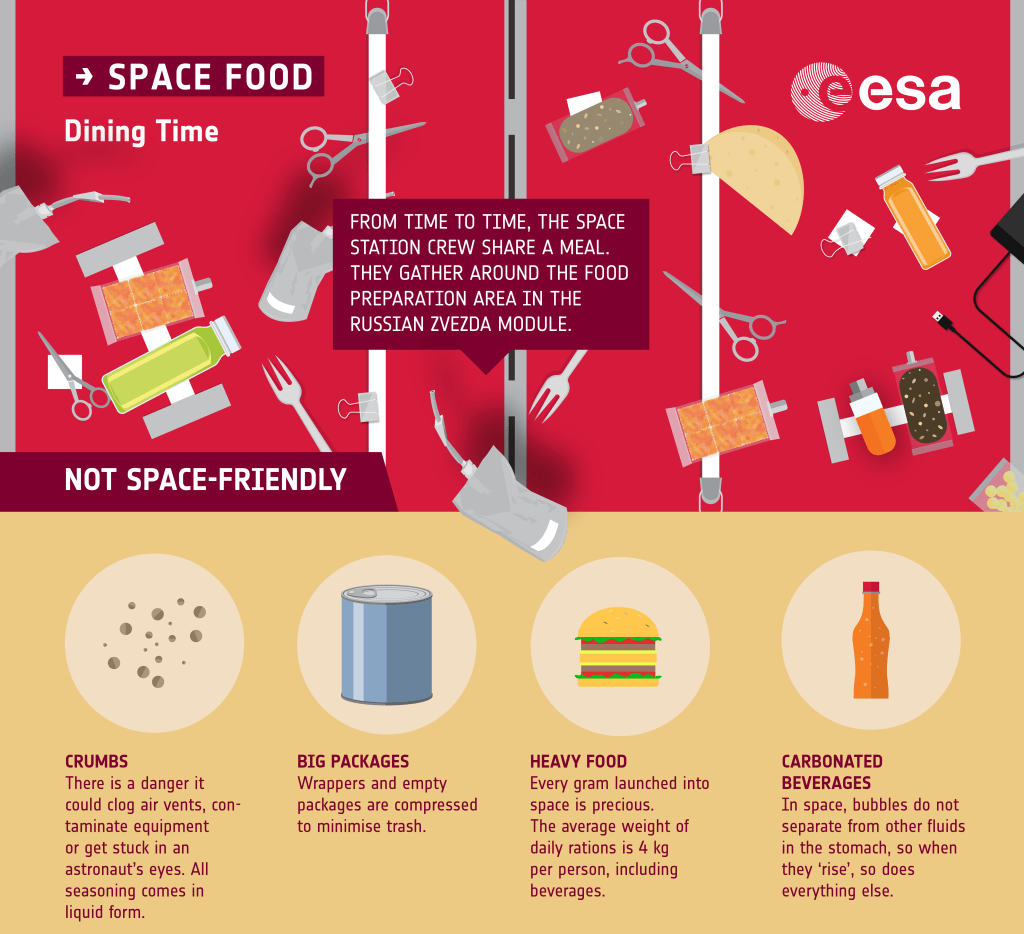 Astronaut Logbook: Day 1 – Food – Moon Camp Challenge